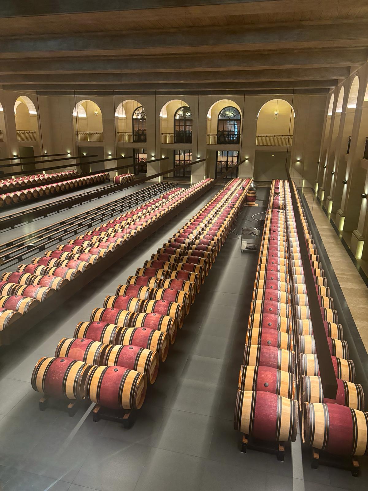 Primeurs 2025 | Millésime 2024